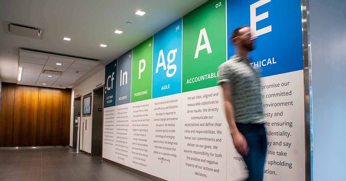 Elements of Our Culture